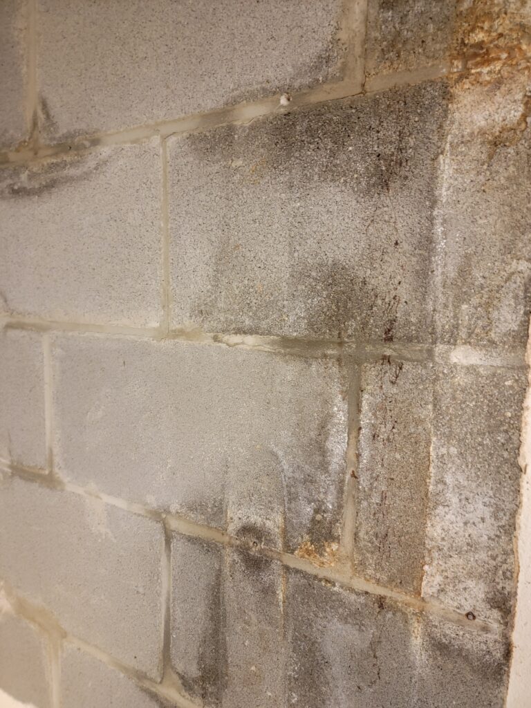 Basement Waterproofing: Identifying Signs and Solutions - Pioneer ...